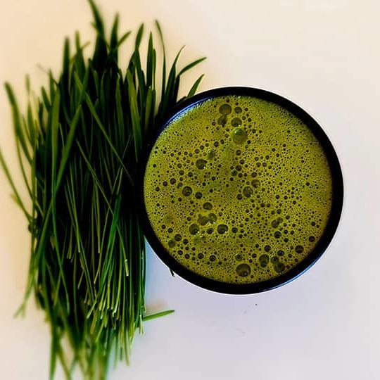 Fresh Wheatgrass Nutri Special – The Microgreen Team